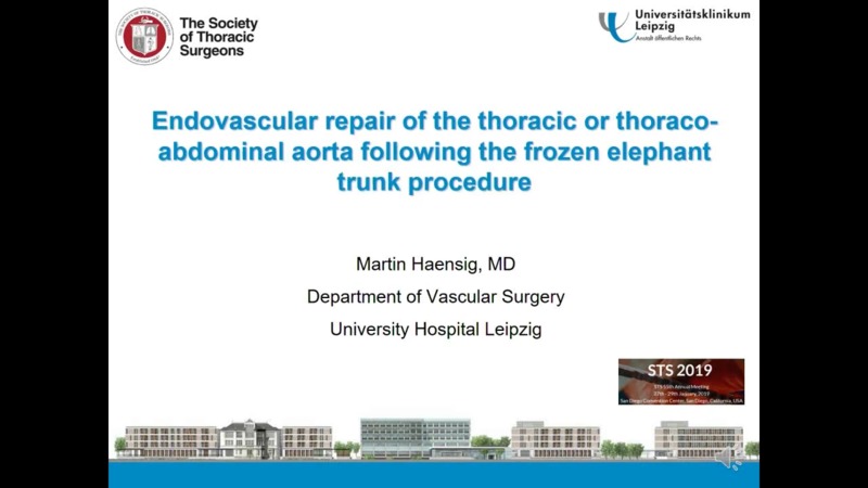 Endovascular Repair of the Thoracic and Thoracoabdominal Aorta ...