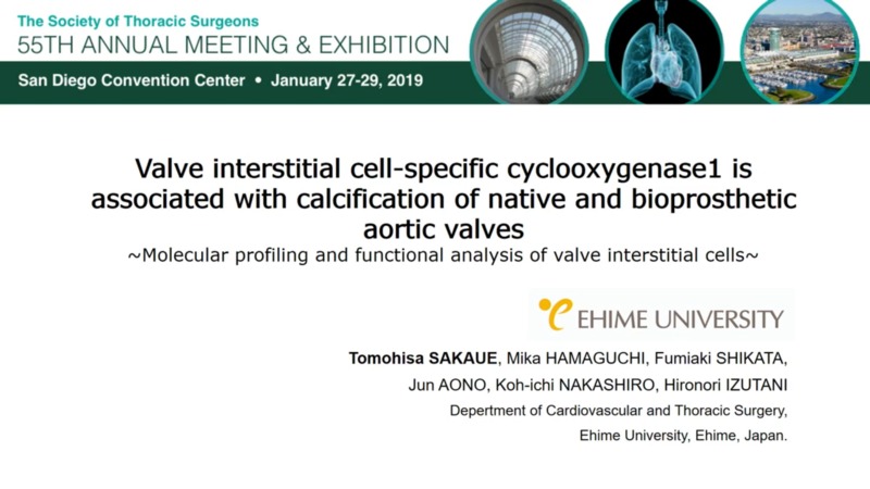 Valve Interstitial Cell-Specific Cyclooxygenase1 Is Associated With ...