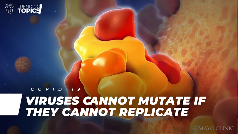 Viruses Cannot Mutate If They Cannot Replicate