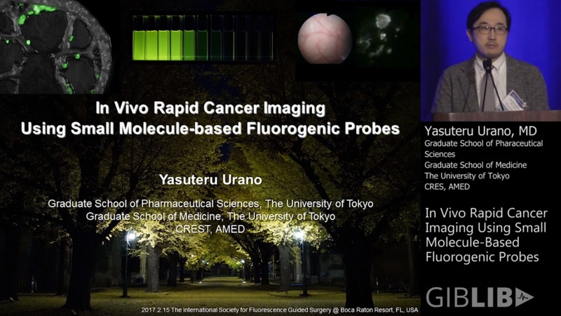 Cancer Imaging: In Vivo Rapid Cancer Imaging Using Small Molecule-Based ...
