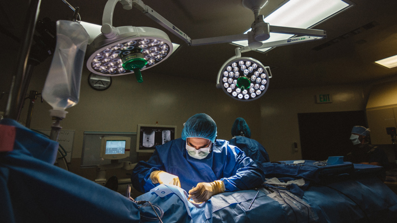 Alexandre Rasouli, MD